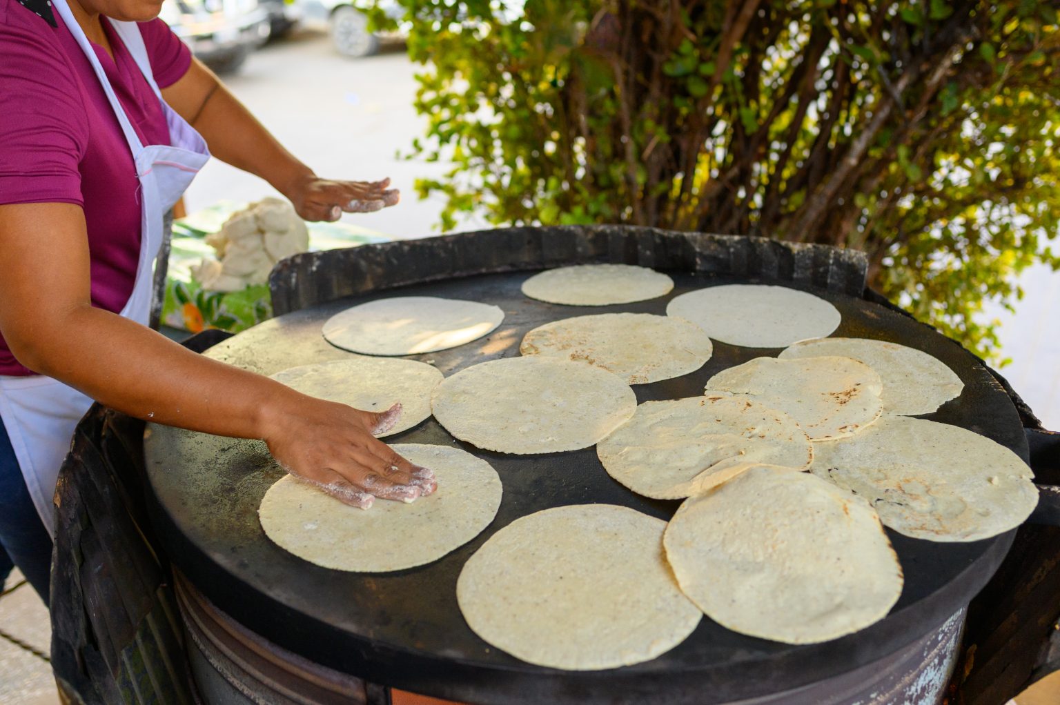 New Book Celebrates Art and Heritage of Tortilla Making - Gadgets Food ...